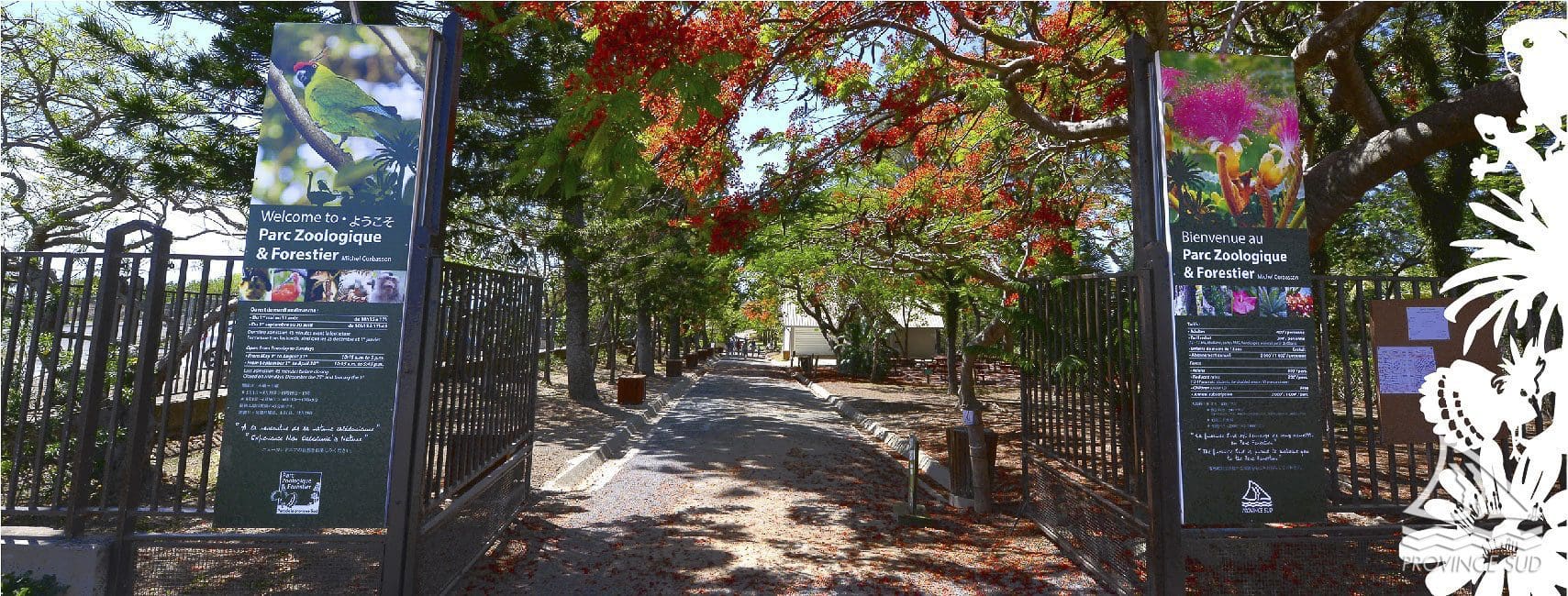 Le Parc Zoologique et Forestier a rouvert ses grilles ! | Sudmag