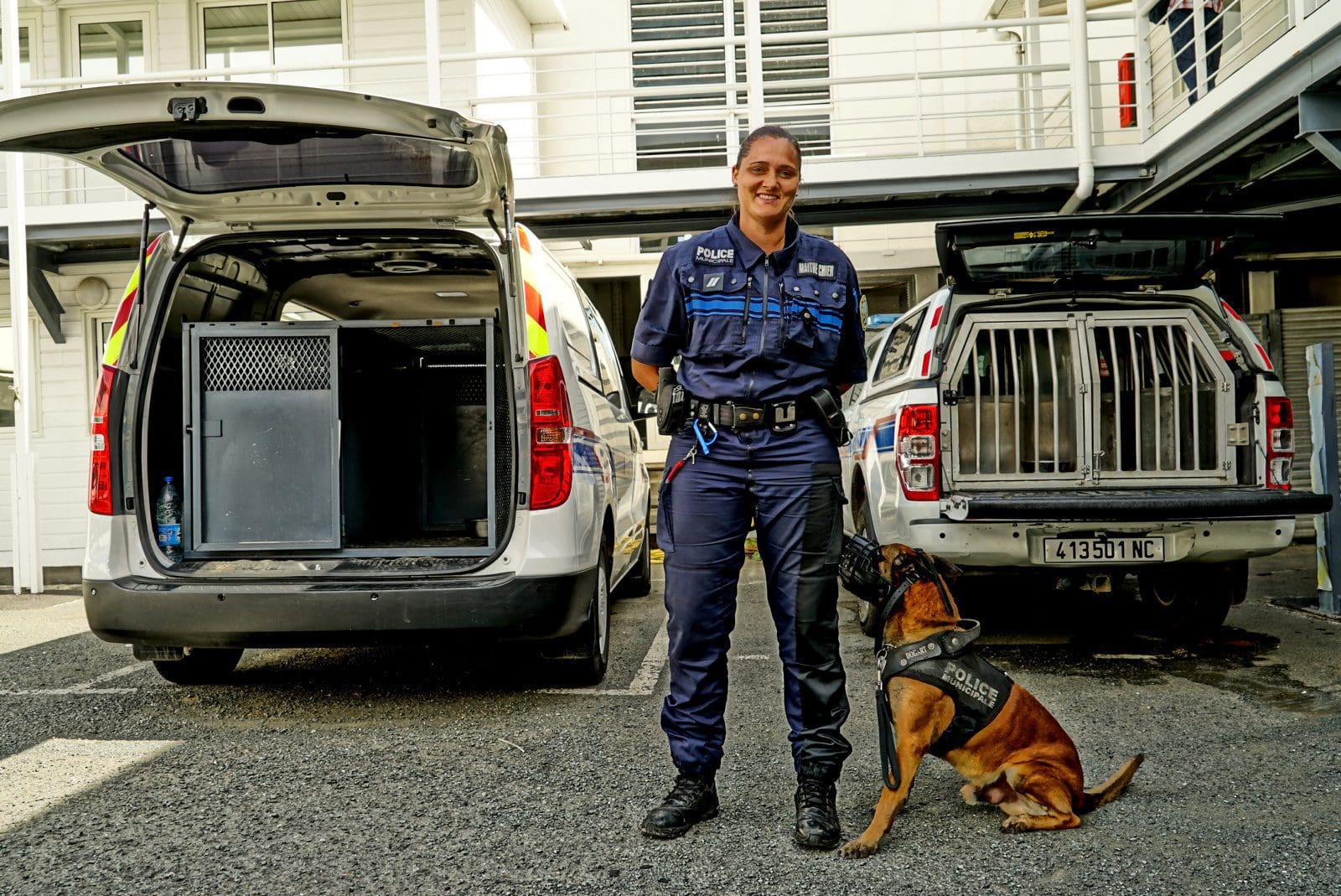 Chiens policiers, des agents de police presque comme les autres ! | Sudmag