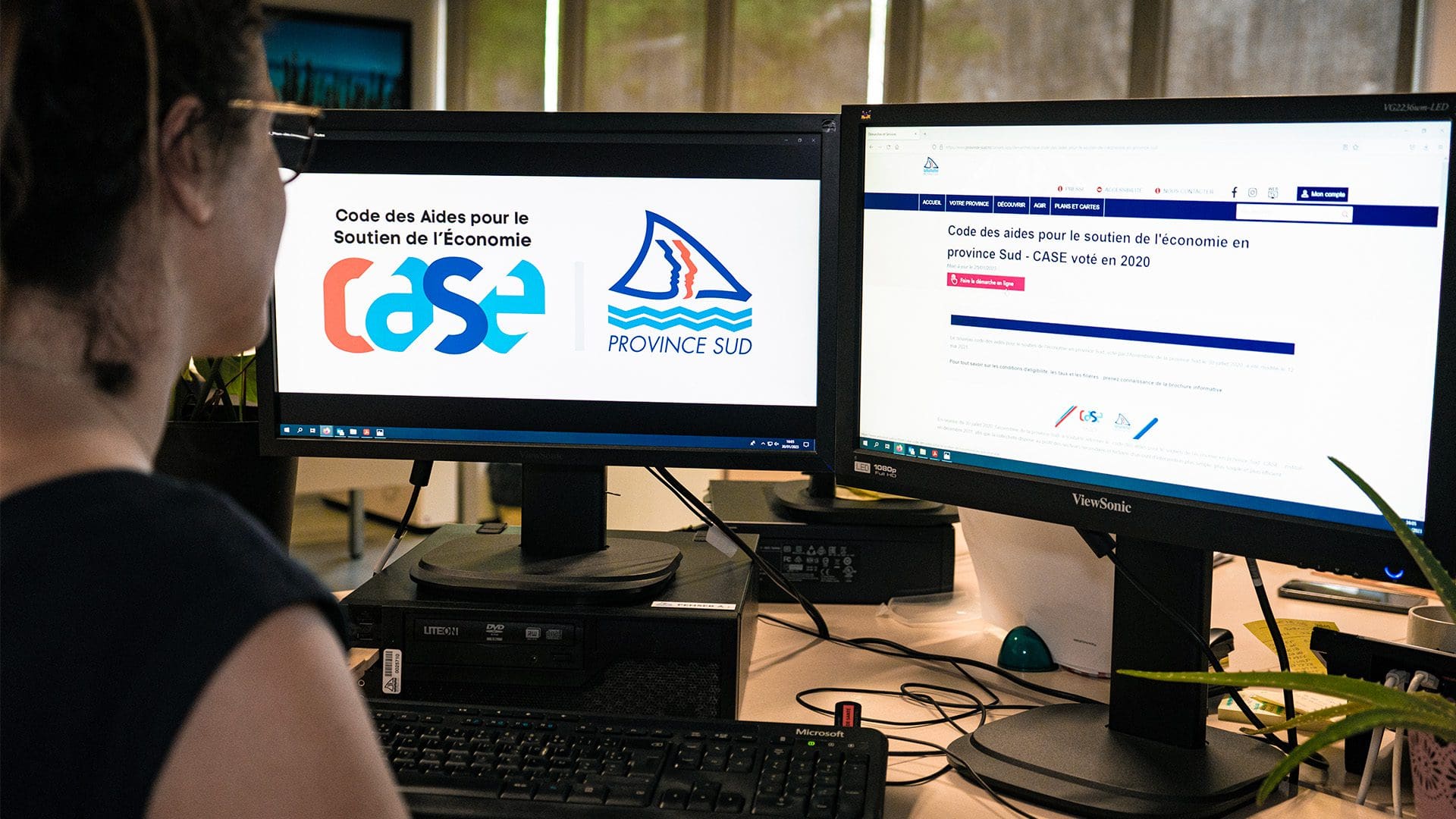 Le code des aides pour le soutien de l’économie en province Sud (CASE ...