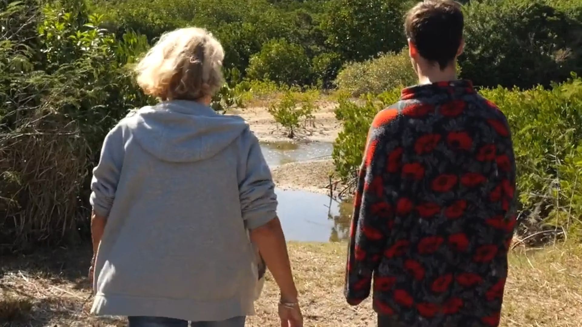 Au chevet des mangroves calédoniennes | Sudmag